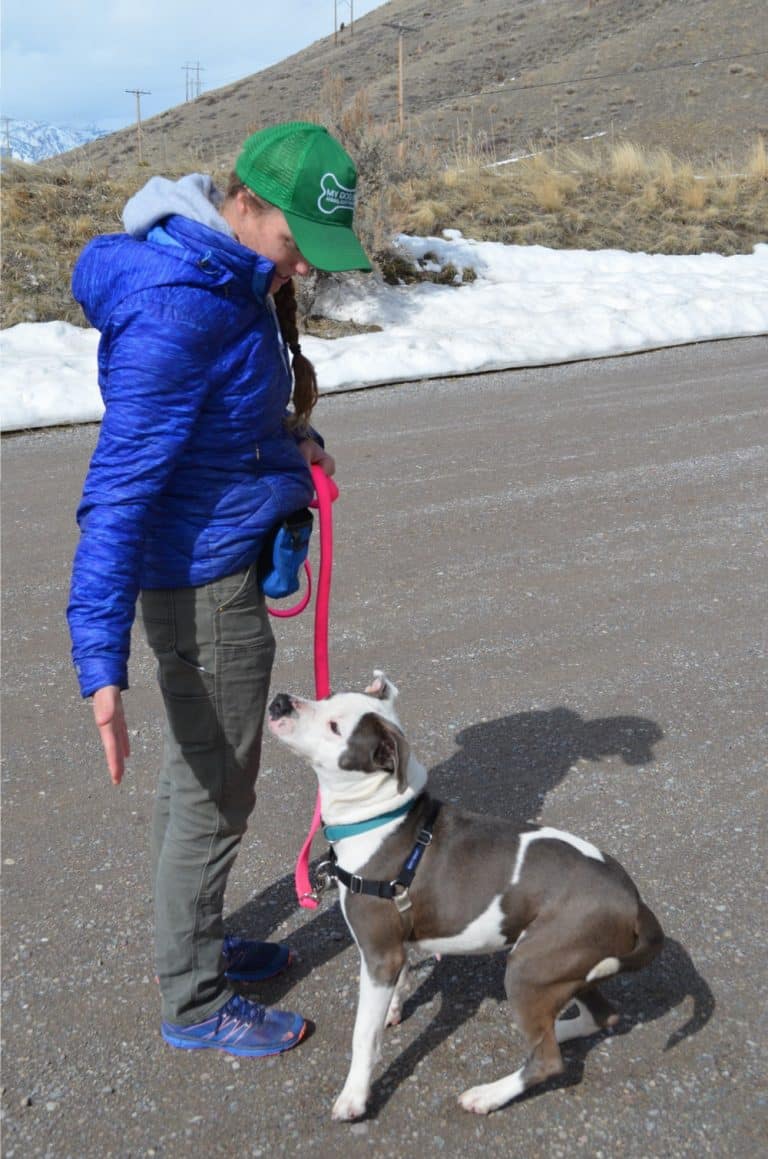 Training Dogs And People In Jackson Hole - Eva Perrigo - Lens And Leash
