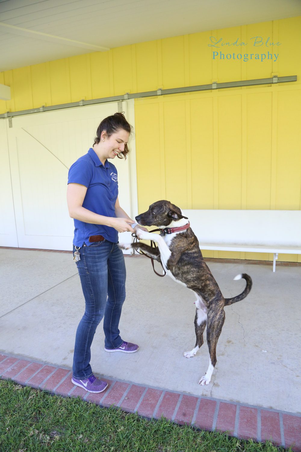 Santa Barbara Humane Society - Lens And Leash
