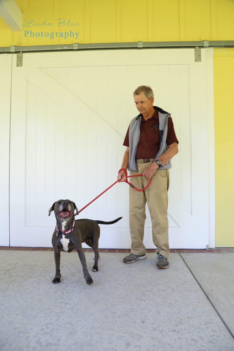 Santa Barbara Humane Society - Lens And Leash