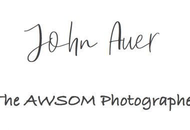 Lens And Leash - Helping Dogs, Cats And Other Animals Find Loving Homes