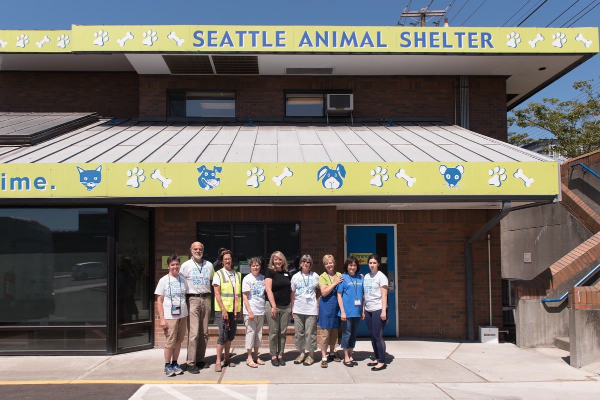 Seattle Animal Shelter - Lens And Leash