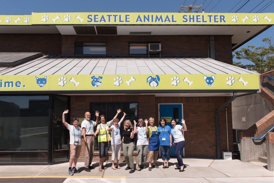 Seattle Animal Shelter - Lens And Leash
