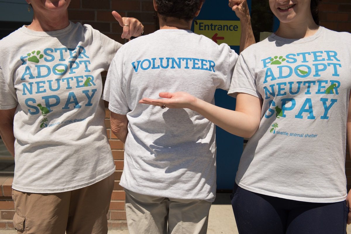Seattle Animal Shelter - Lens And Leash